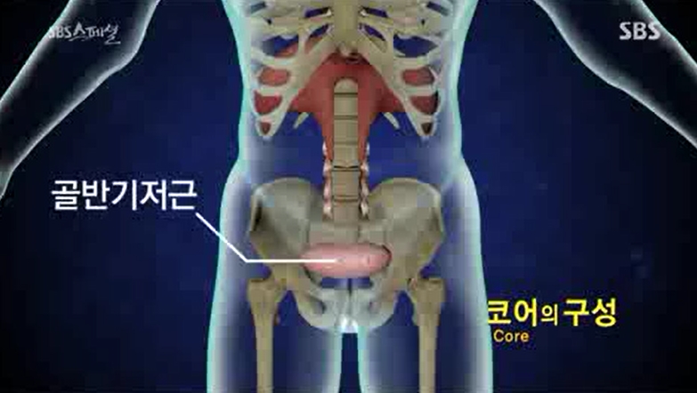 코어 운동이란 코어운동의 중요성 네이버 블로그